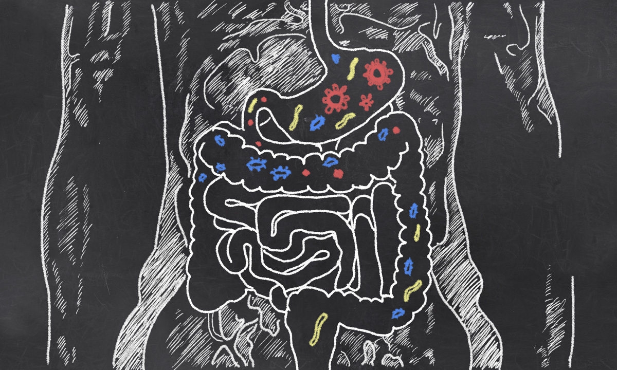 How to Improve Gut Health - Lab Testing and Diets Explained